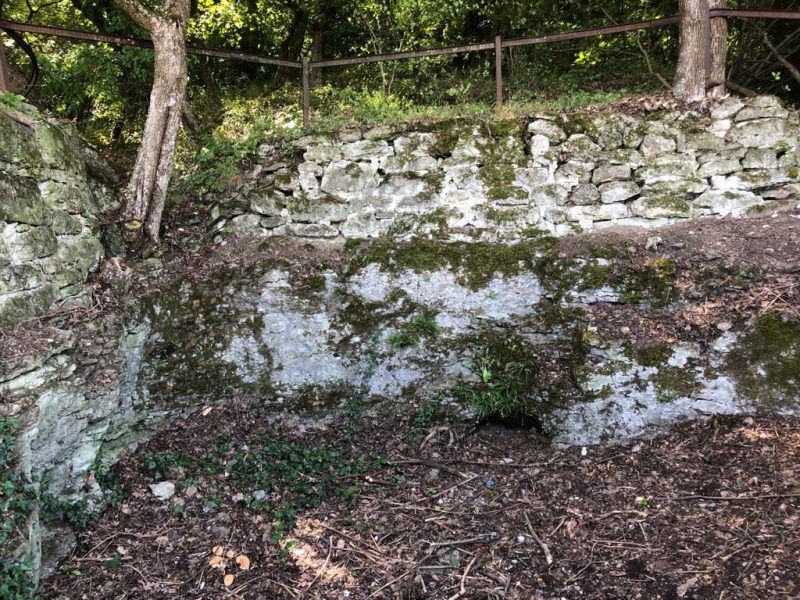 Impressionen 2021 - Winzerfamilie Gregor Schup